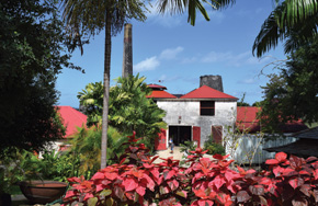 SunTours Special - SunTours Barbados - Tours, Transfers and Taxi Service
